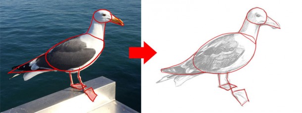 Improve Your Drawing Skills in 6 Days