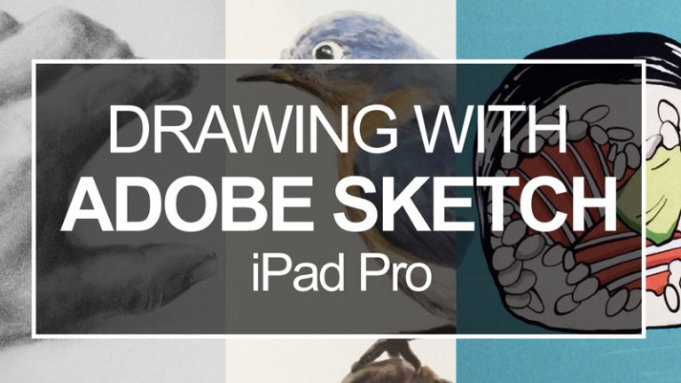 Drawing With Adobe Sketch