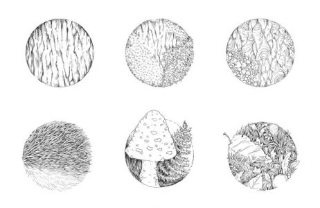 Drawing Natural Textures with Ink Liners