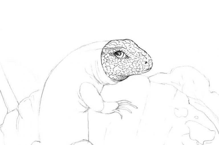 How to Draw a Lizard with Pen and Ink