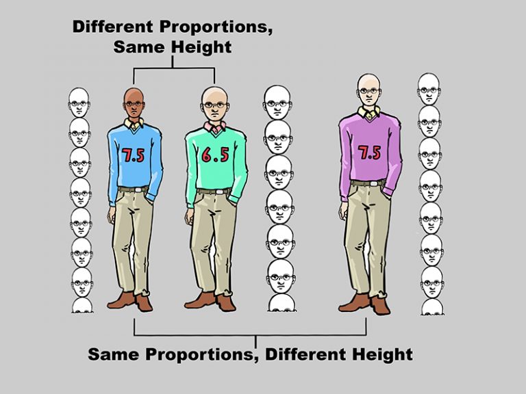 Proportion - A Principle of Art