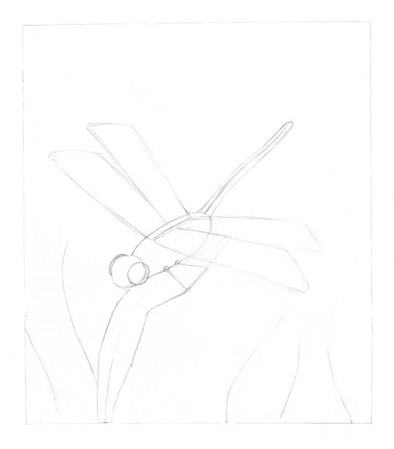 Drawing a Dragonfly - Stippling with Pen and Ink