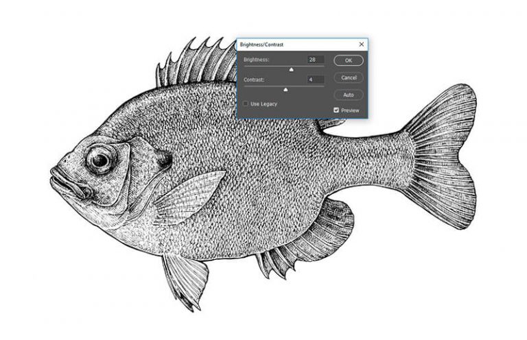 Draw a Fish: Pen and Ink Drawing with Digital Painting