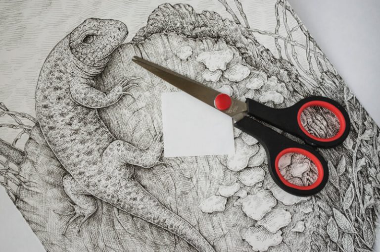 How to Correct Mistakes in a Pen and Ink Drawing