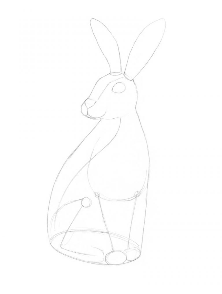 How to Draw a Rabbit with Pen and Ink