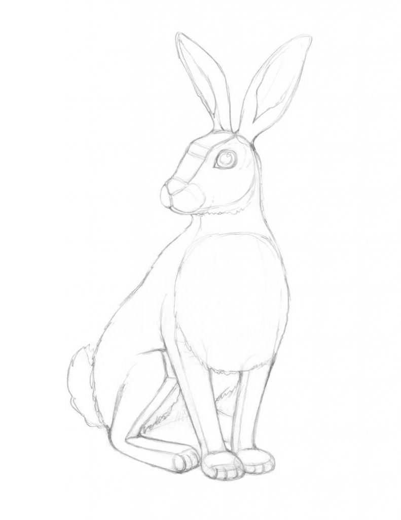 How to Draw a Rabbit with Pen and Ink