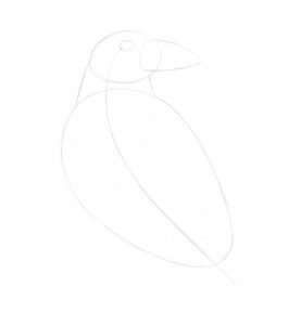 How to Draw a Raven with Pen and Ink