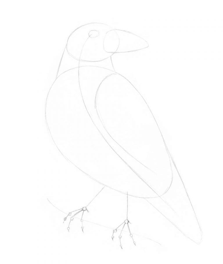 How to Draw a Raven with Pen and Ink