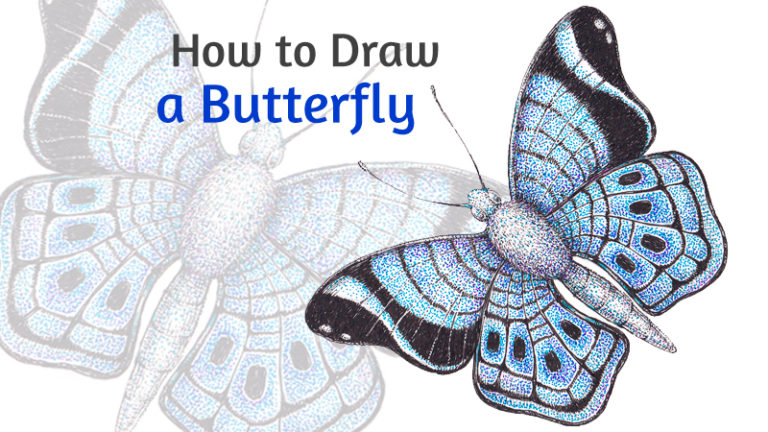 How to Draw a Butterfly with Pen and Ink and Colorful Stippling