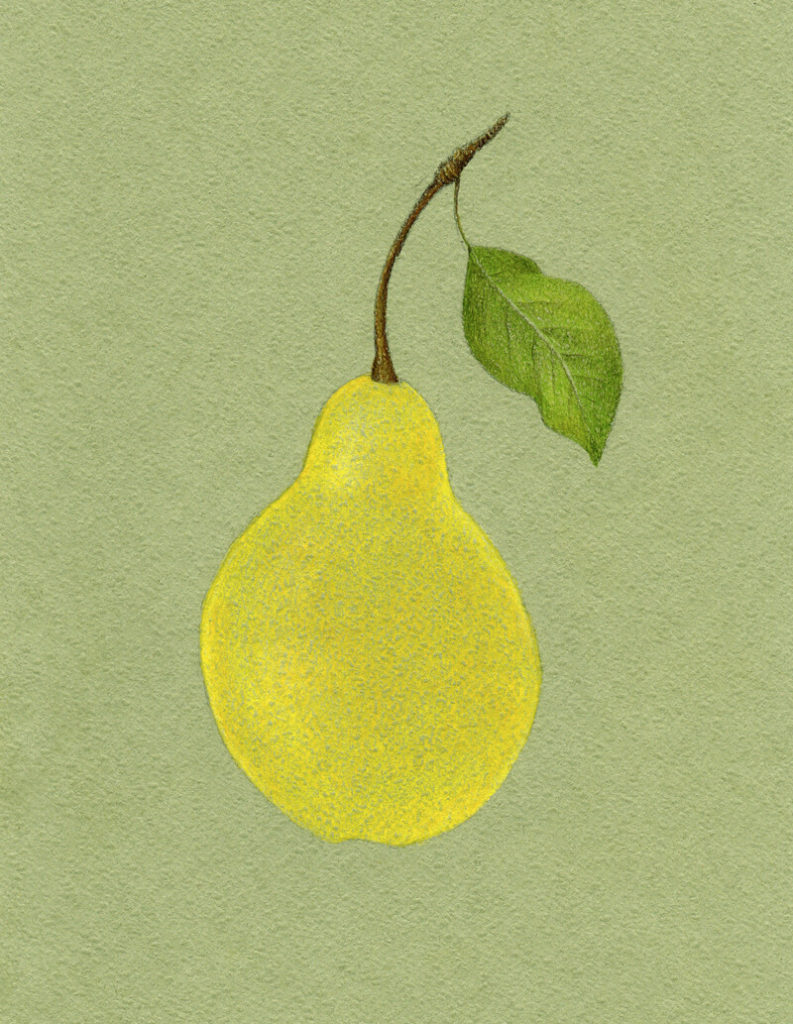 How to Draw a Pear with Colored Pencils