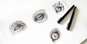 How to Draw Animal Eyes with Pen and Ink