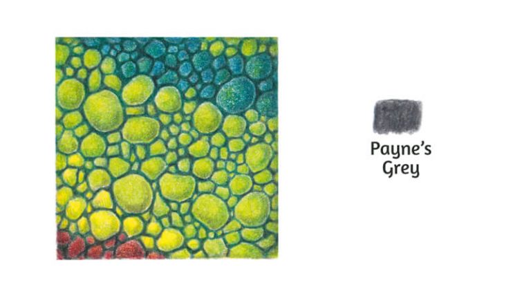 How to Draw Animal Scales