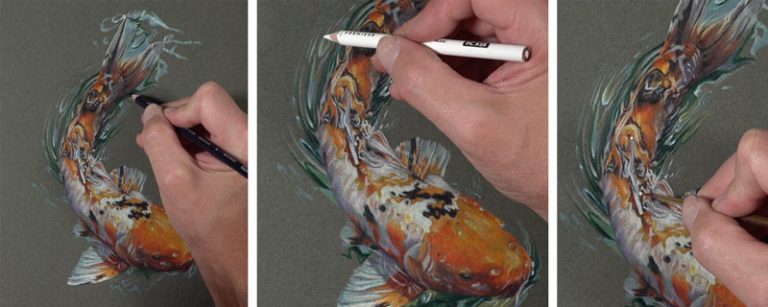 How to Draw a Koi Fish with Colored Pencils