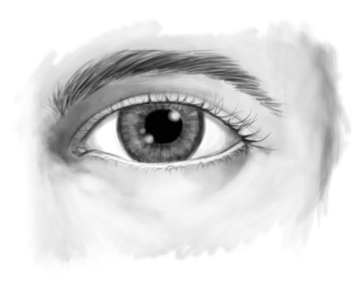 How to Draw Eyes - Graphite