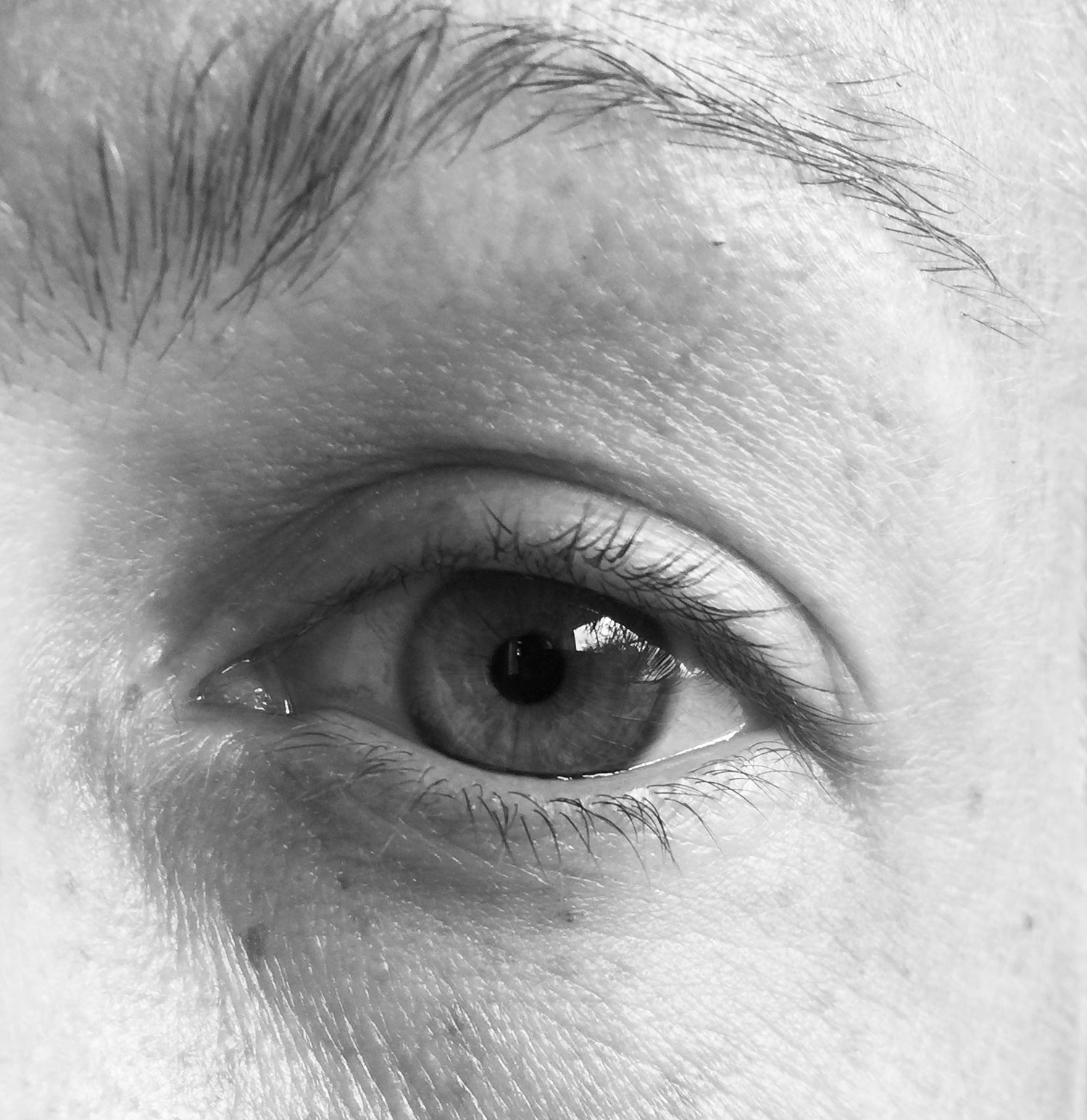 Portrait Drawing The Smart Way – Preview